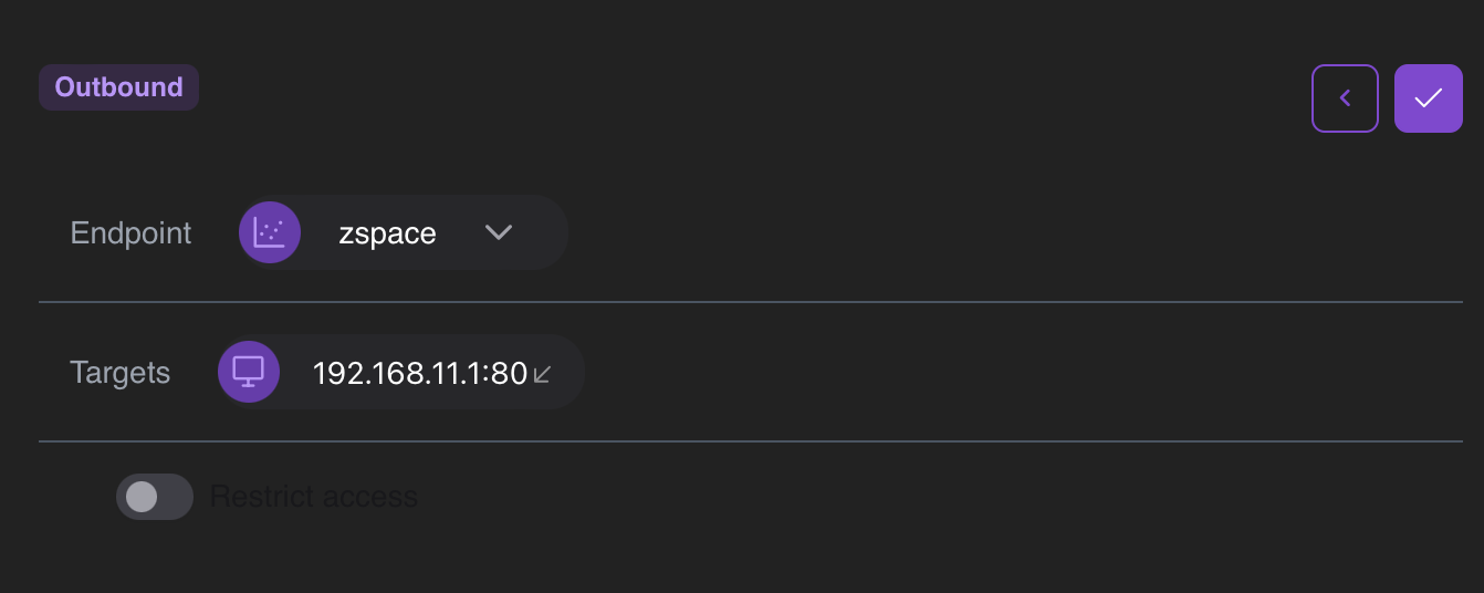 使用 ZTM 增强极空间 NAS 的远程访问能力